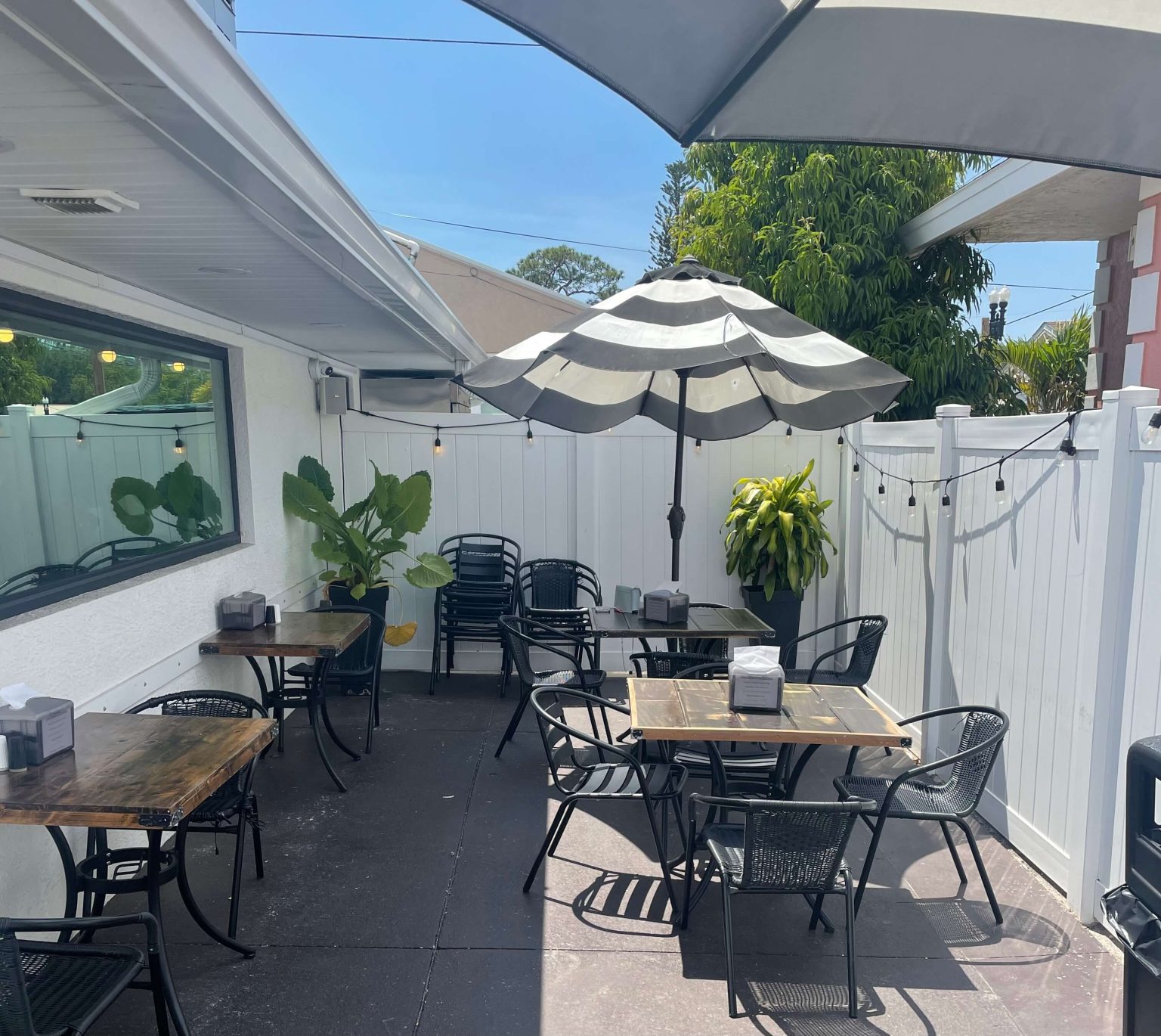 17 Best Coffee Shops in Sarasota [2022]